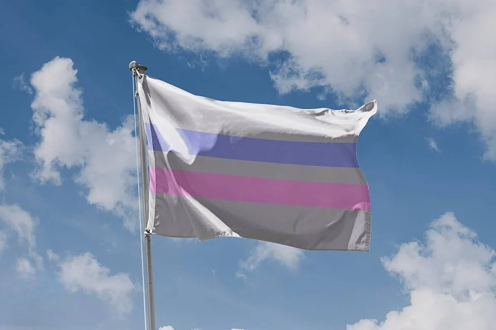 Androgynous Pride Flag & Androgynous Flag Meaning
