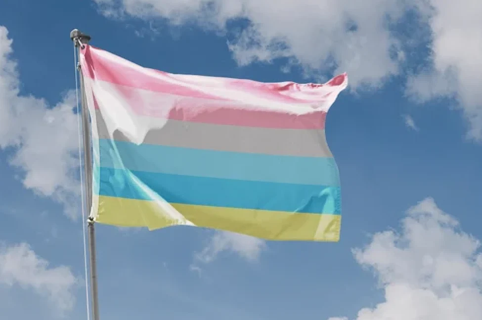 Genderflux Pride Flag & Genderflux Flag Meaning