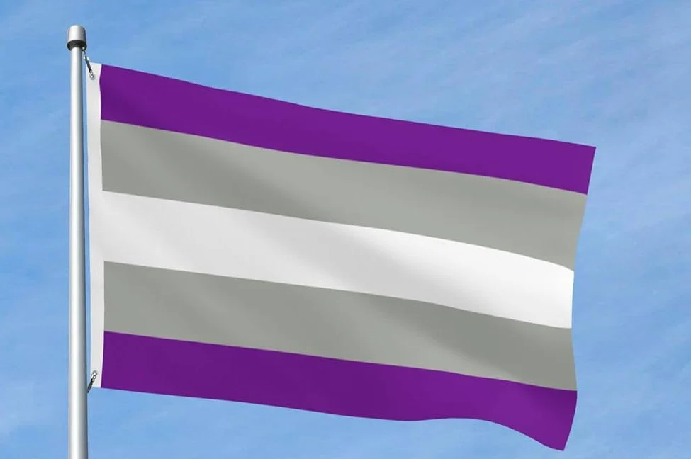 Graysexual Pride Flag & Graysexual Flag Meaning