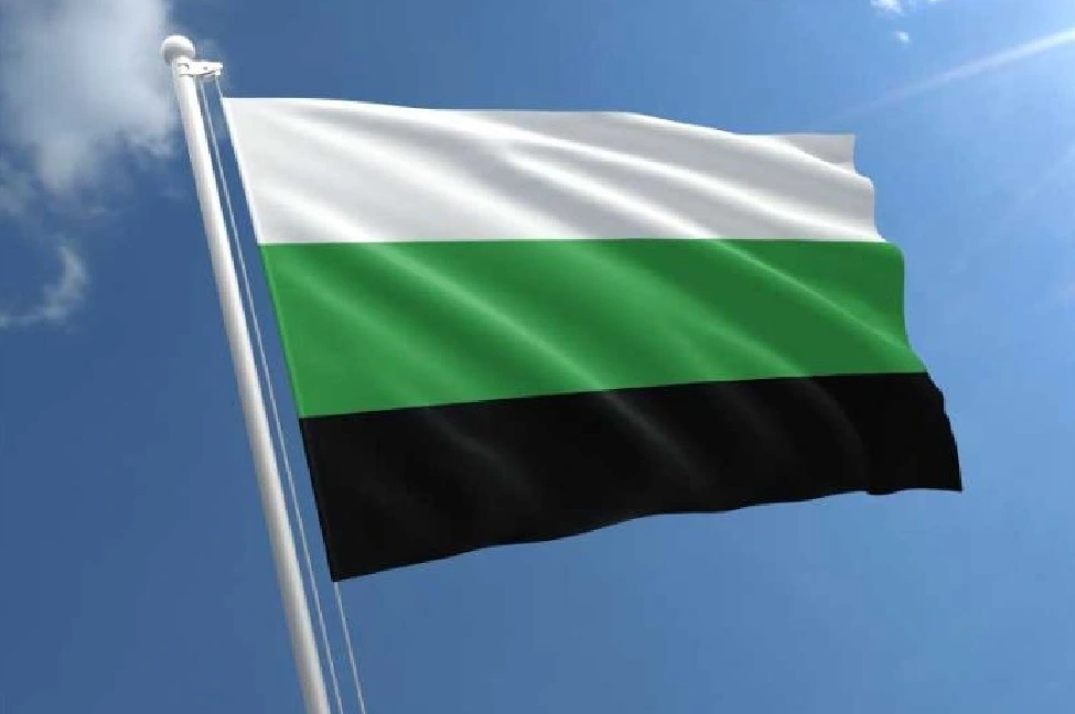 Neutrois Pride Flag & Neutrois Flag Meaning