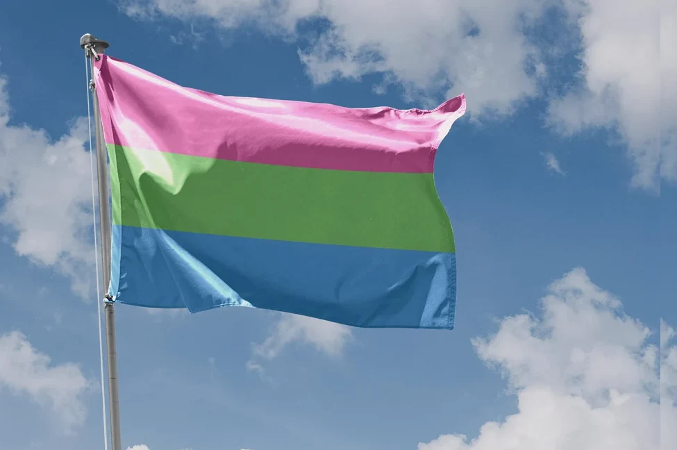 Polysexual Pride Flag & Polysexual Flag Meaning