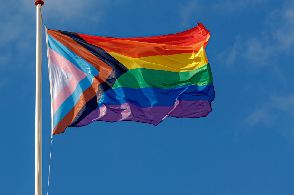 Progress Pride Flag & Progress Flag Meaning