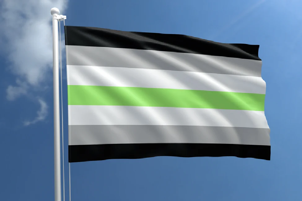 Agender Pride Flag & Agender Flag Meaning