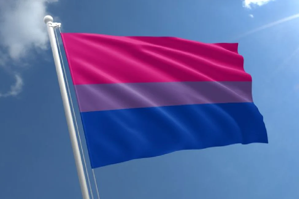 Bisexual Pride Flag & Bisexual Flag Meaning