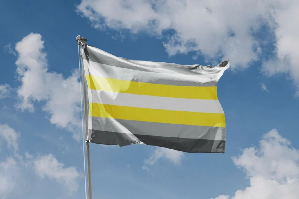 Demigender Pride Flag & Demigender Flag Meaning Demigender Pride Flag & Demigender Flag Meaning