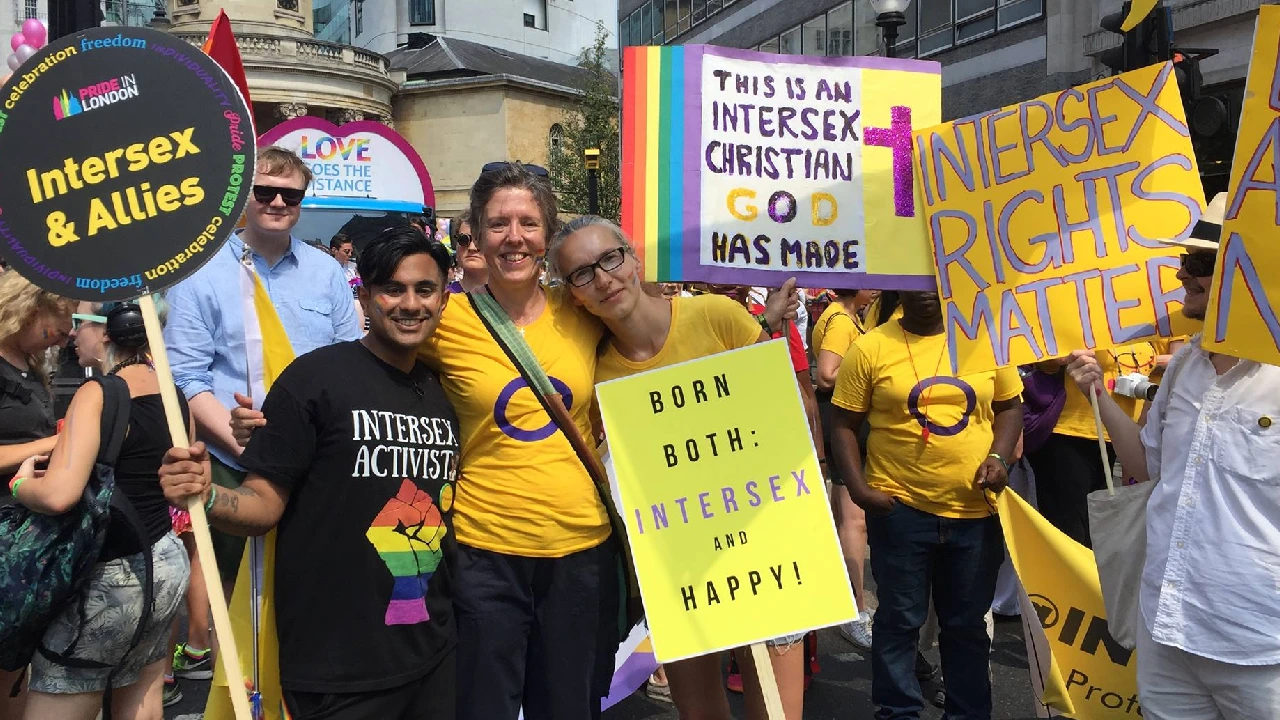 Intersexual Meaning What Does Intersex Mean 6647