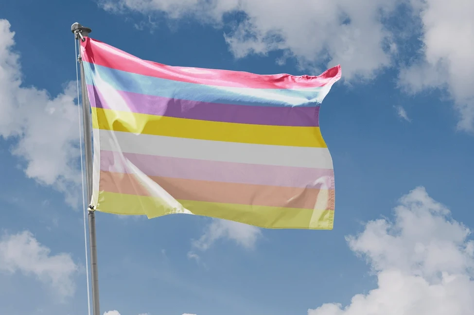 Pangender Pride Flag & Pangender Flag Meaning