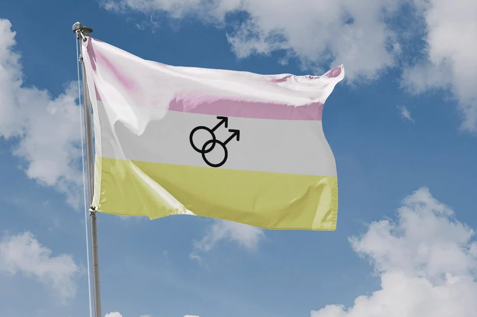 Twink Pride Flag & Twink Flag Meaning