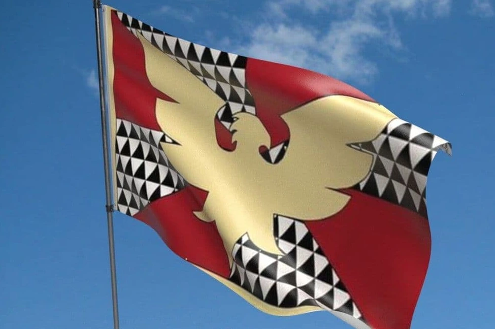 Drag or Feather Pride Flag & Drag or Feather Pride Flag Meaning